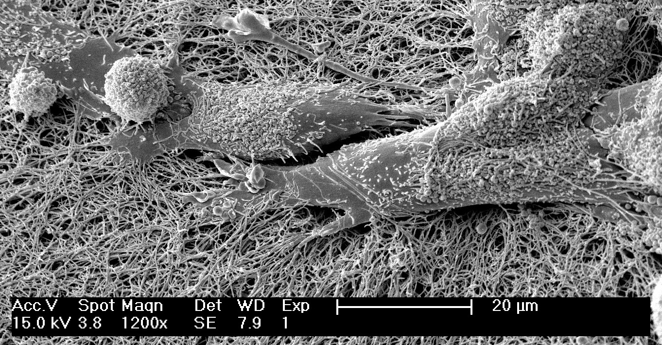 Microbiome-related facilities & resources at Purdue